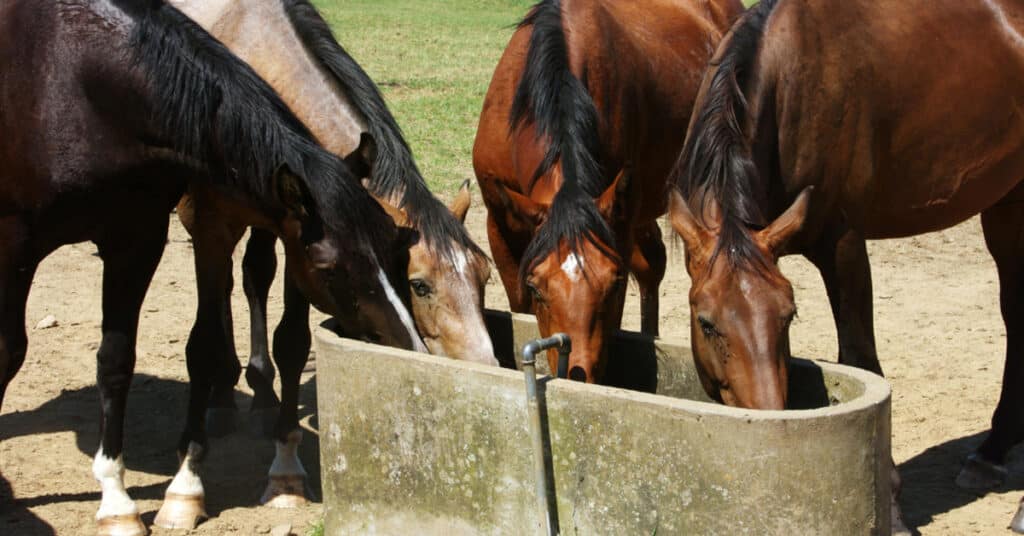 Testing for Strangles