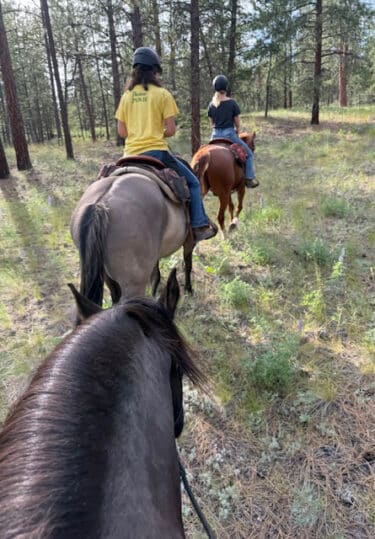 9 Places to Go Horse Camping in British Columbia