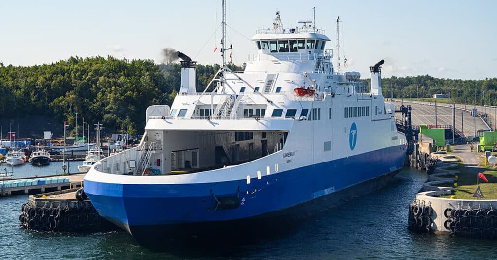 Loveable Loser Zippy Chippy Passes Away