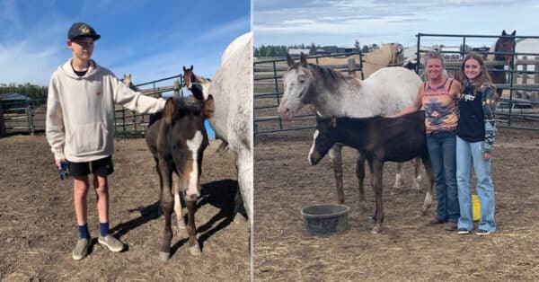 John Ware Reclaimed: Filling the Gap in Black Canadian History