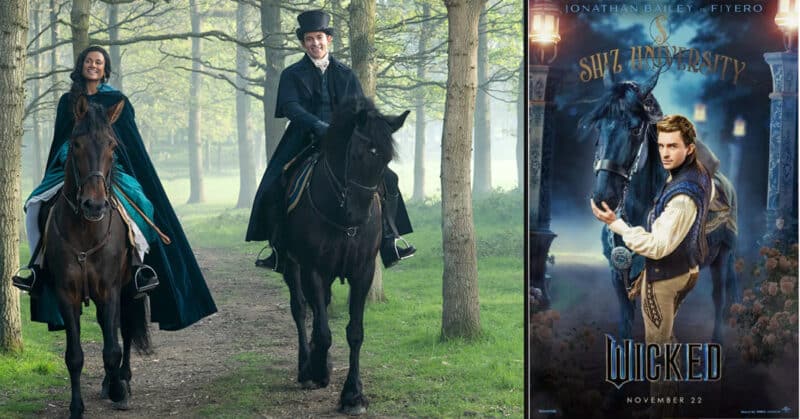 Bog Spavin and Bone Spavin: Equine Hock Headaches