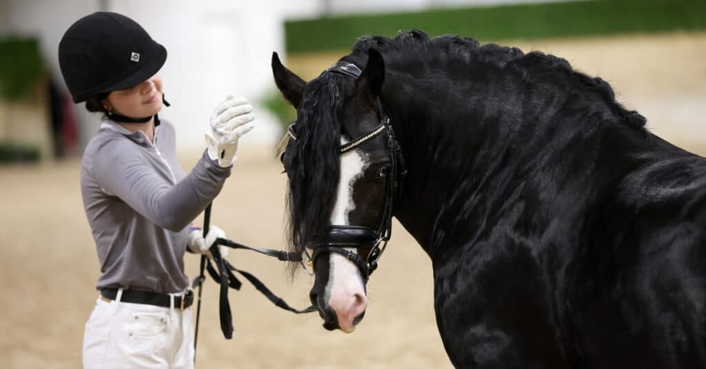 Perfecting the Hand Gallop