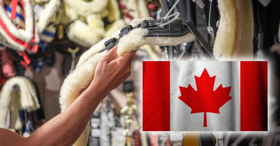 Bog Spavin and Bone Spavin: Equine Hock Headaches