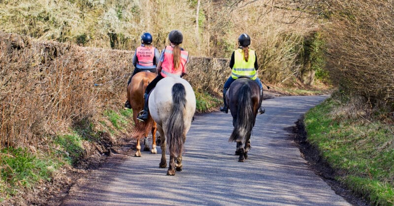 RCMP and The Twenty One Things You Didn’t Know