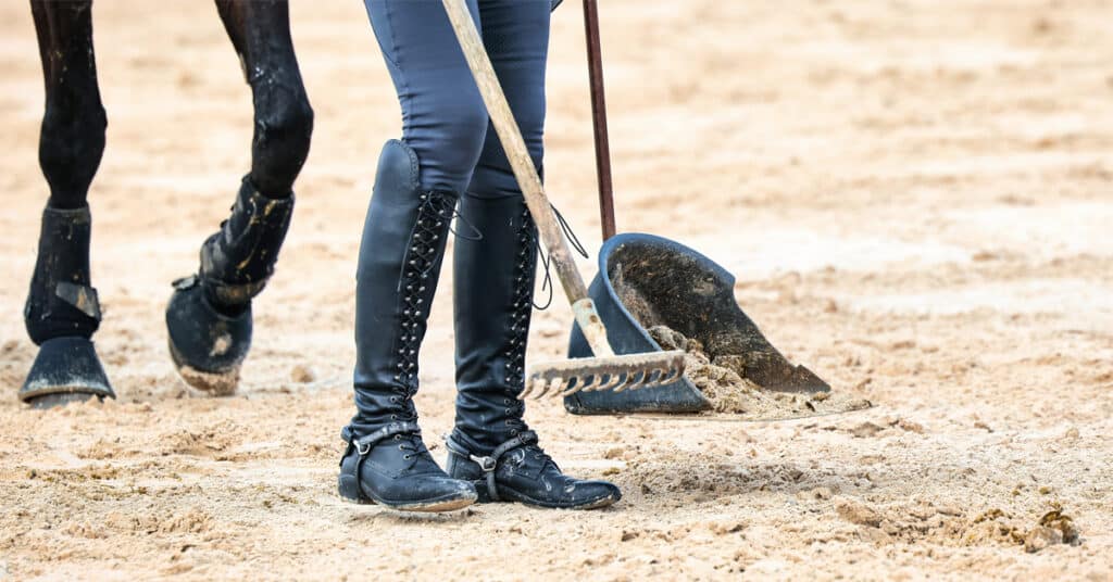 Strange But True: Horsegiirl Stella Stallion