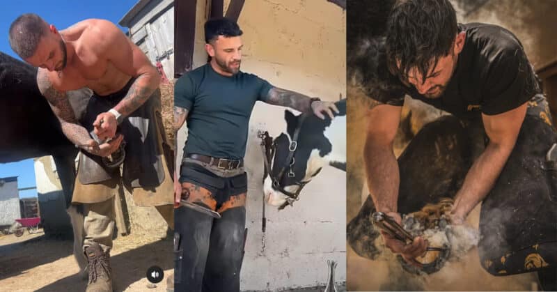 Strange But True: Horsegiirl Stella Stallion