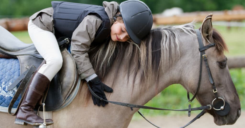 Famous Horse Breeds and Their Legacy in Canadian Culture