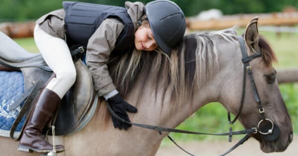 Commonly Used Horse Drugs: 10 Equine Steroids